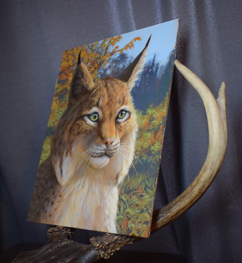 Maine Lynx - Original Oil Painting on 8x10" Board - Etsy