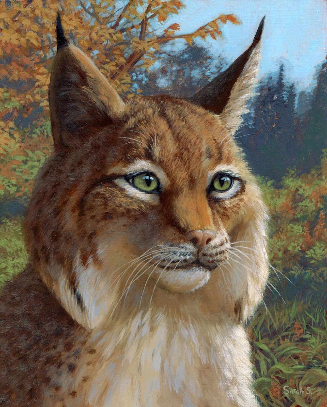 Maine Lynx - Original Oil Painting on 8x10" Board - Etsy