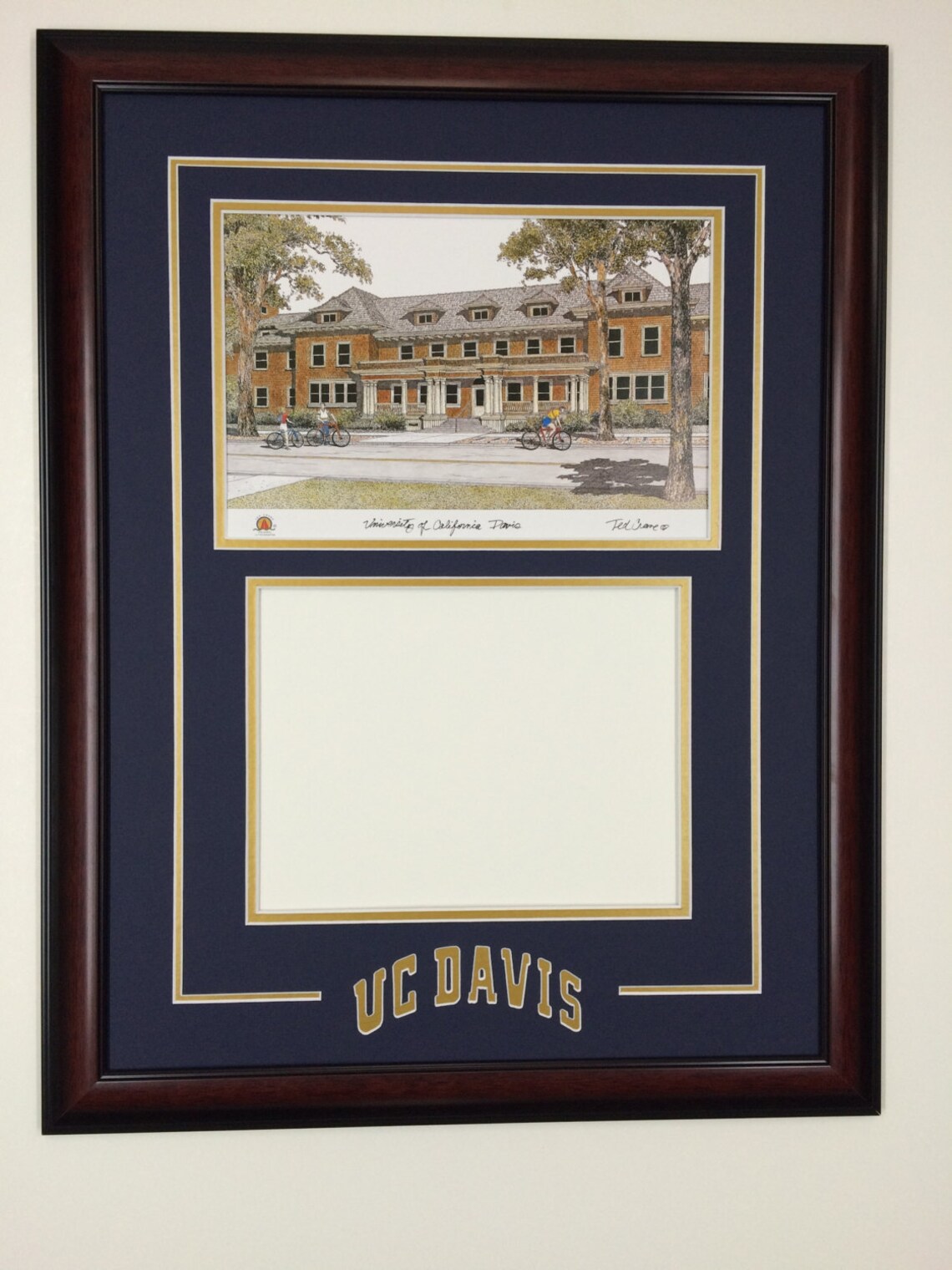 University of California Davis | Etsy