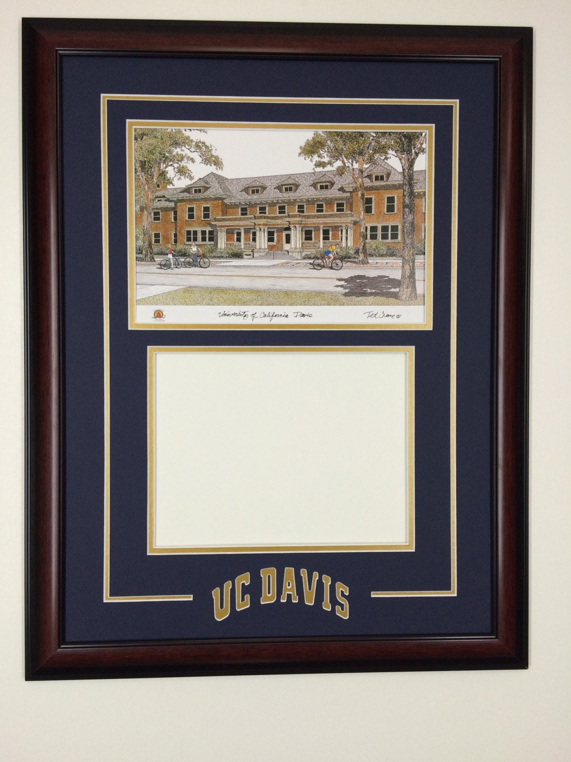 University of California Davis - Etsy