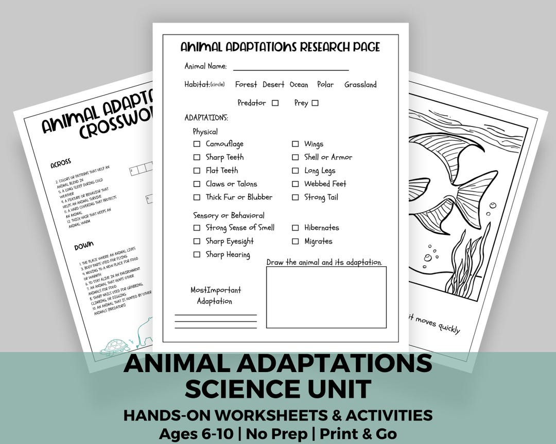 Animal Adaptations Science Unit | Worksheets & Activities for Kids Ages ...