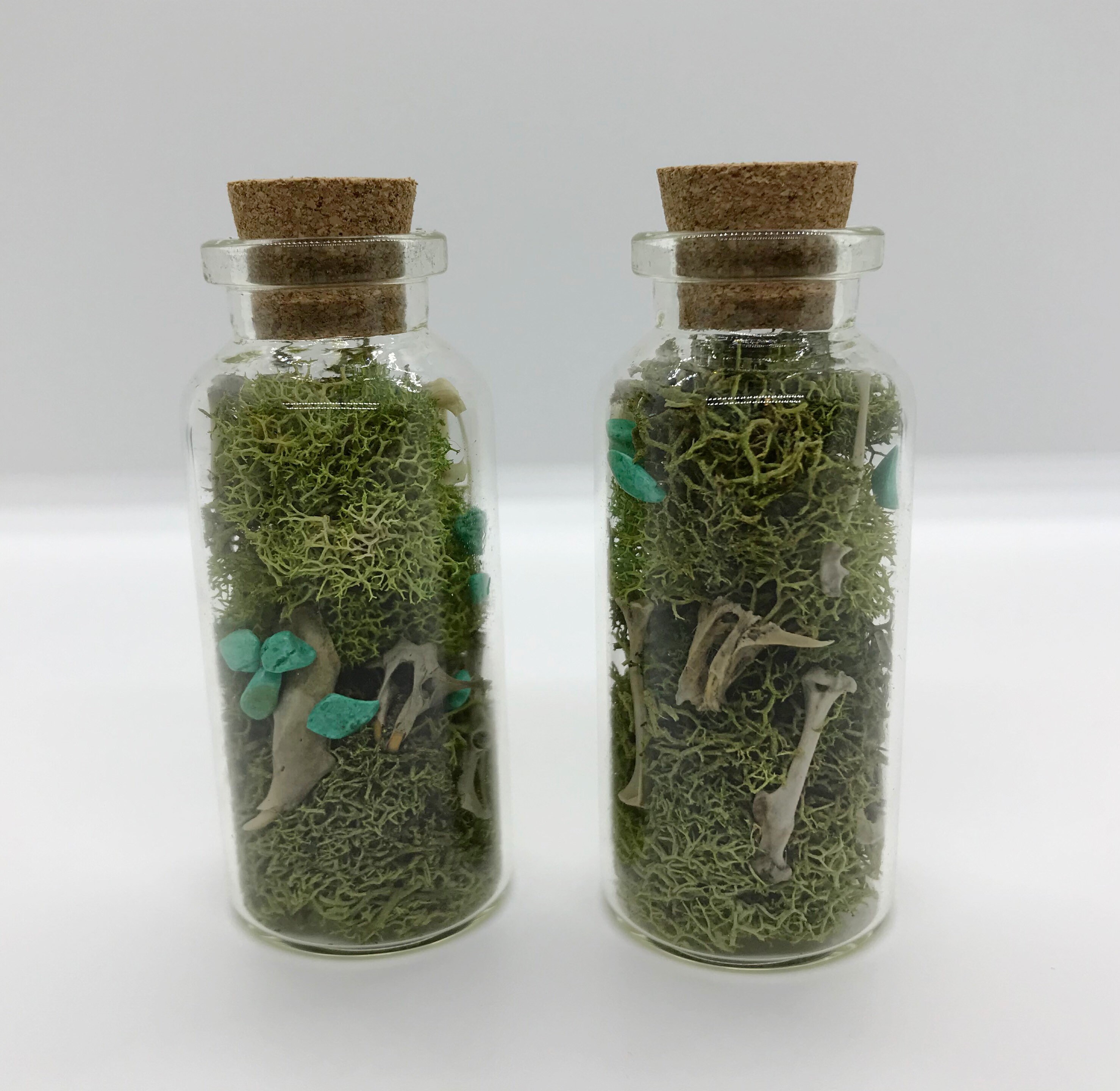 Small Bone Terrarium Bones in Bottles Moss and Crystals - Etsy
