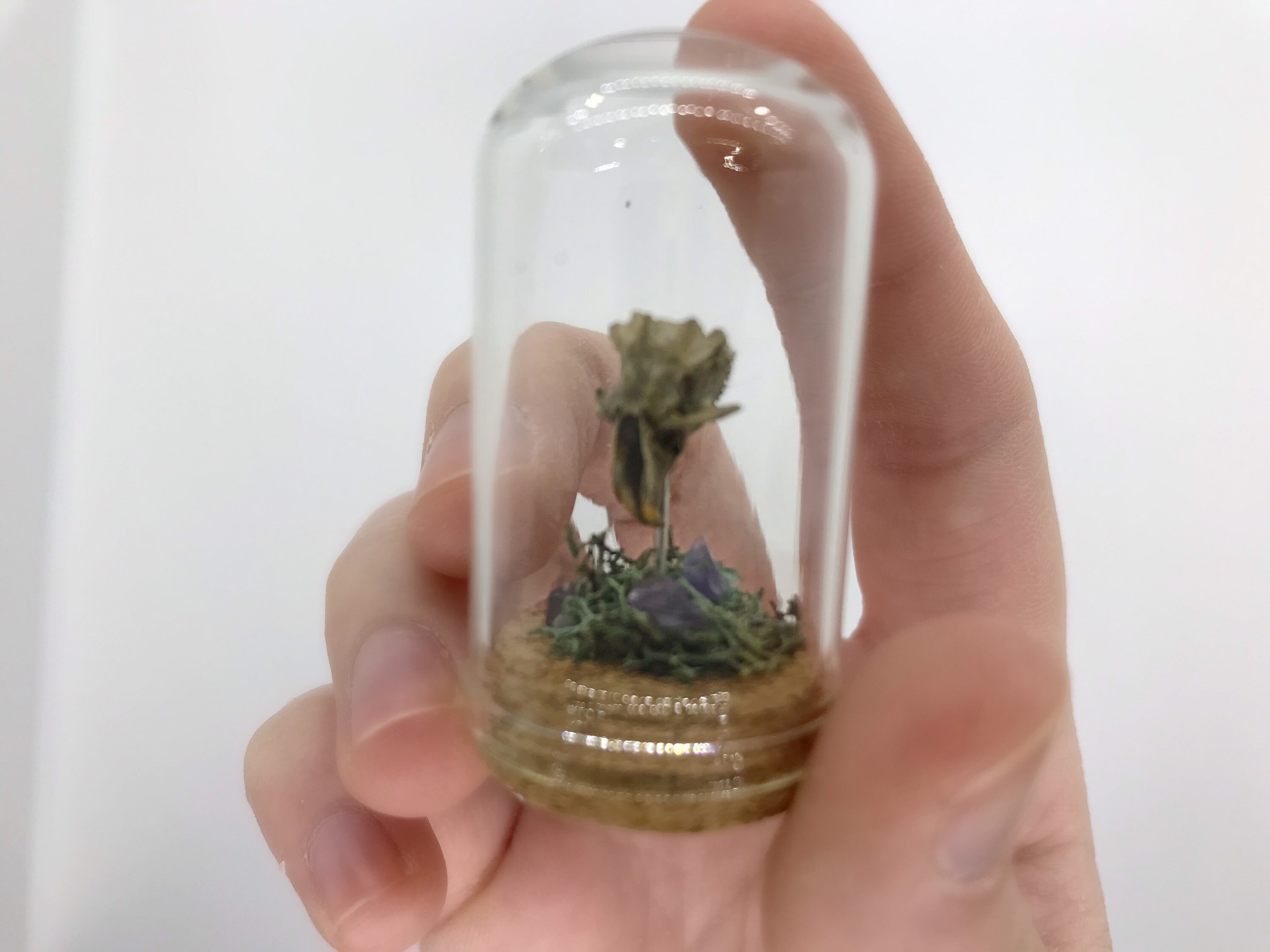 Mini Bone Jar Terrarium Rodent Skull and Bones Natural - Etsy