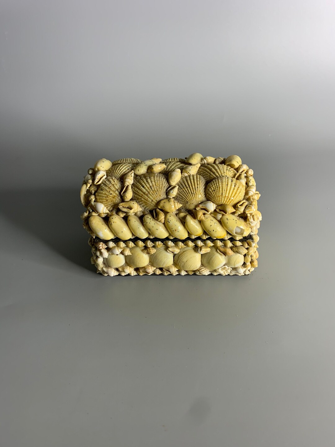 French Vintage Seashell Knick Knack Box Jewelry Box Beach Shells Decor ...