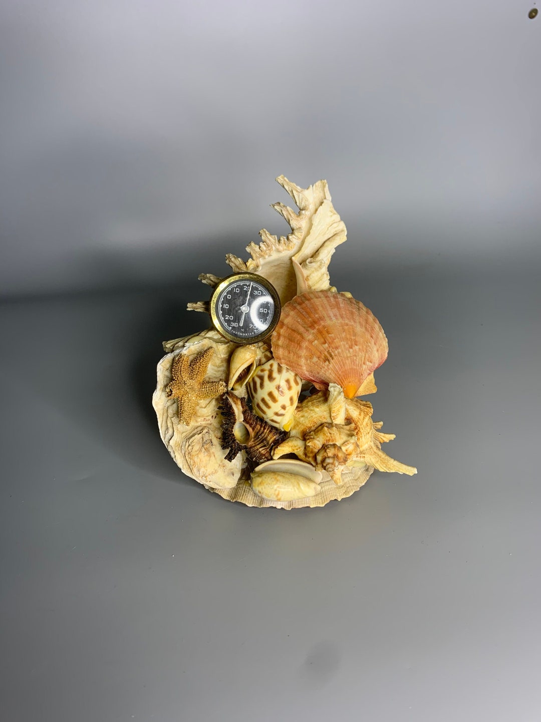 French Vintage Seashell Thermometer Weather Instrument Decoration - Etsy