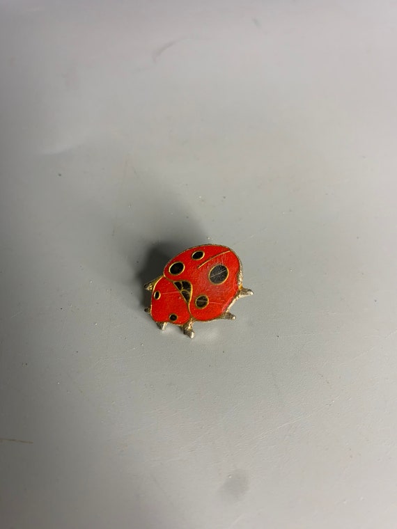 French Vintage Pin Ladybug Design Gem