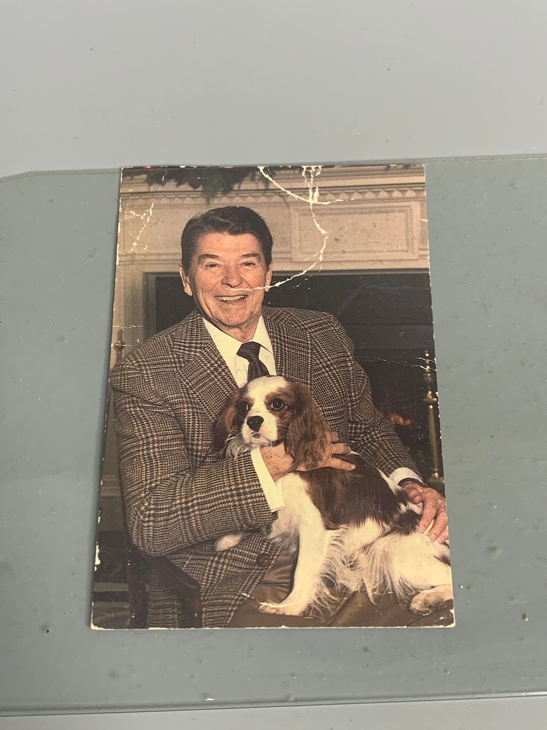 Vintage President Reagan Color Photo Regan With His Dog Picture ...