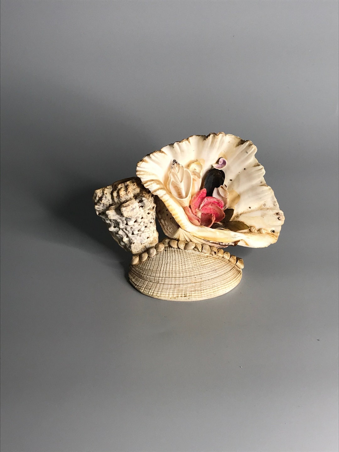 French Vintage Seashell Beach Deco Kitchen Deco Shell - Etsy