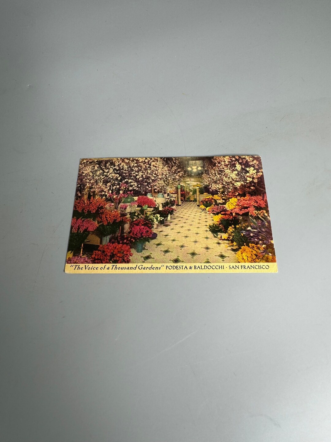 California Vintage Postcard Podesta & Baldocchi -grant Avenue San ...