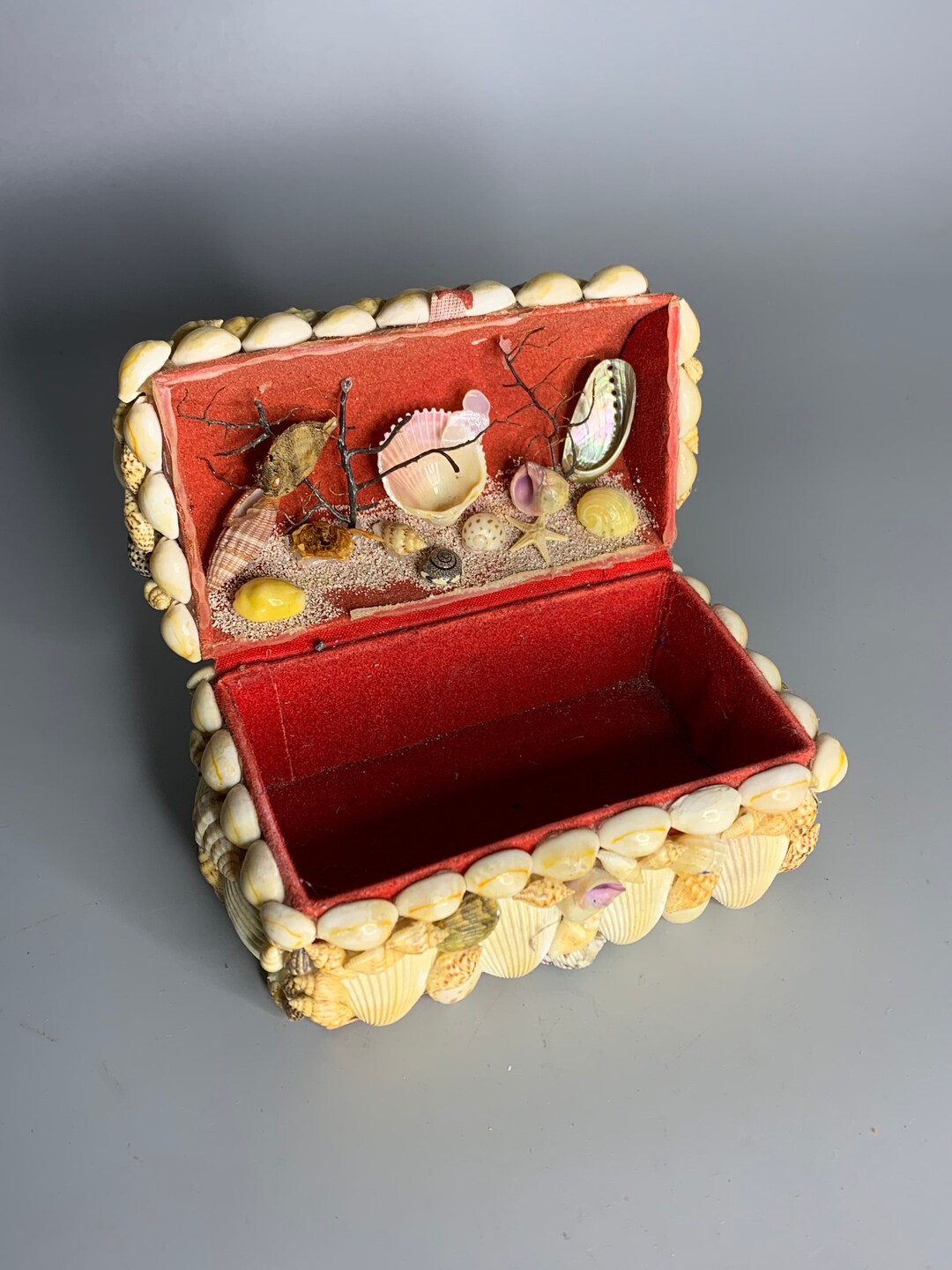 French Vintage Knick Knack Seashell Box With Velvet Inside Jewelry Box ...