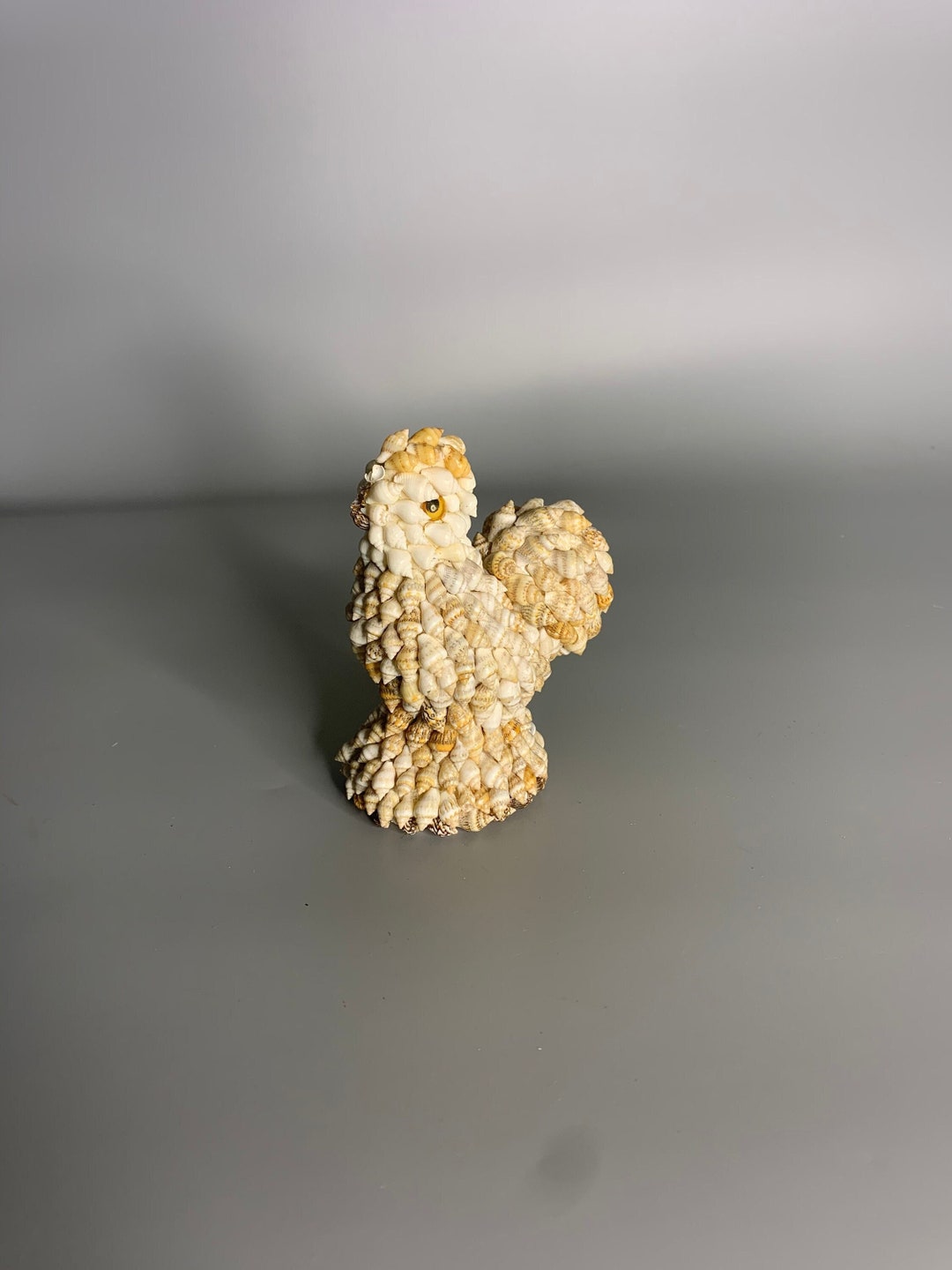 French Vintage Seashell Chicken Shells - Etsy