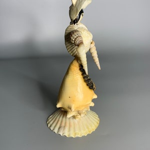 French Vintage Seashell Decoration Doll Shells - Etsy