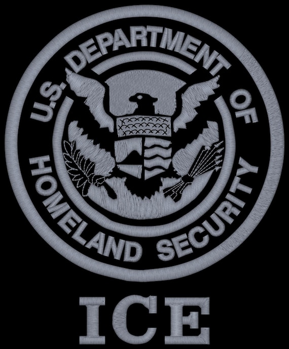 Dhs Ice Logo