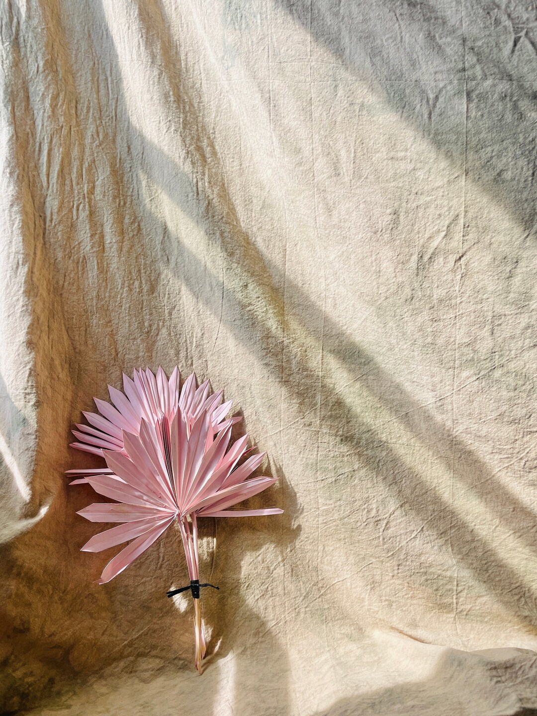 Hand-dyed Canvas Backdrop / Fabric Photo Background for Events - Etsy