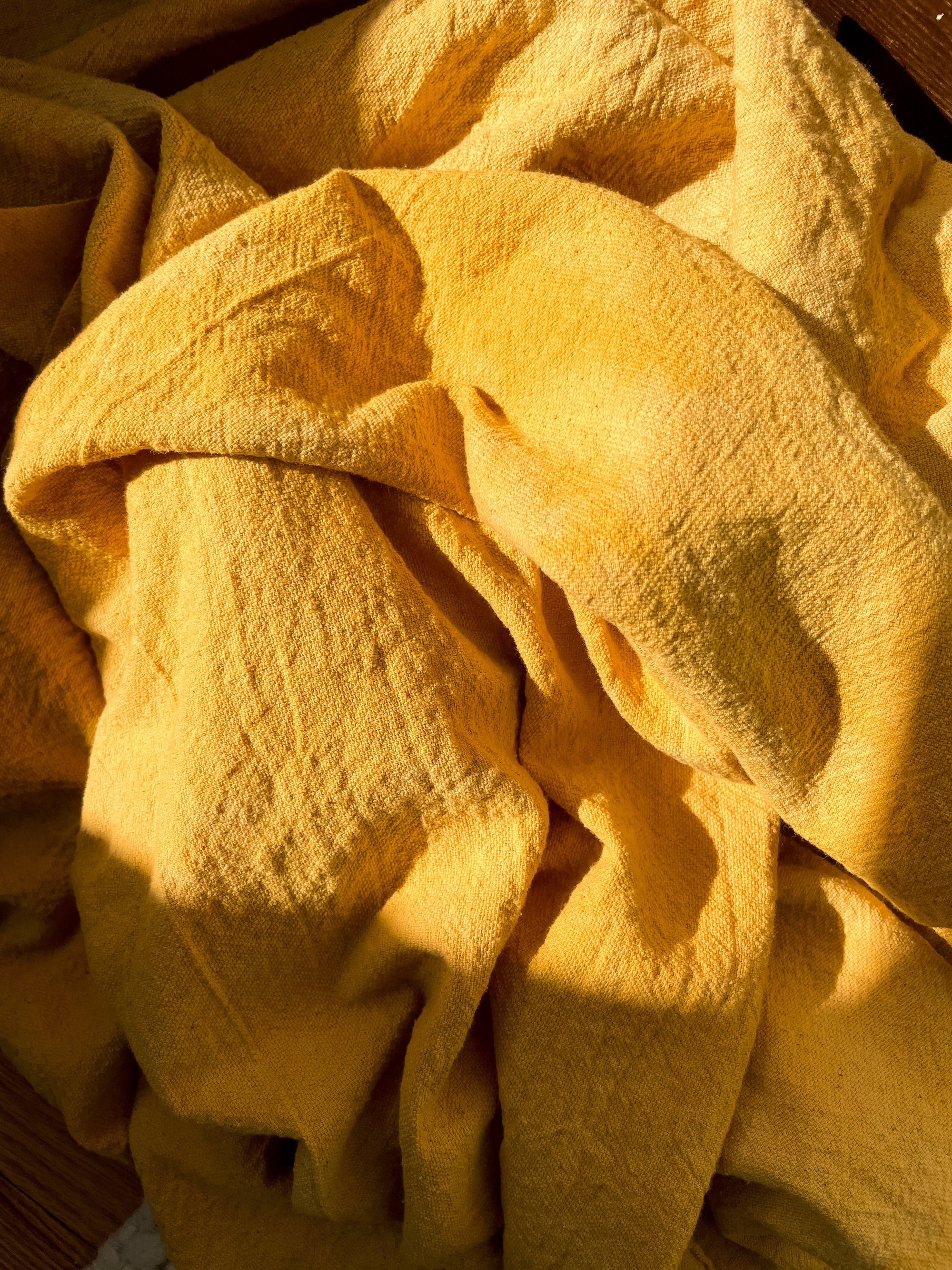 Hand-dyed Cotton Canvas Backdrop / Photo Background in MARIGOLD - Etsy