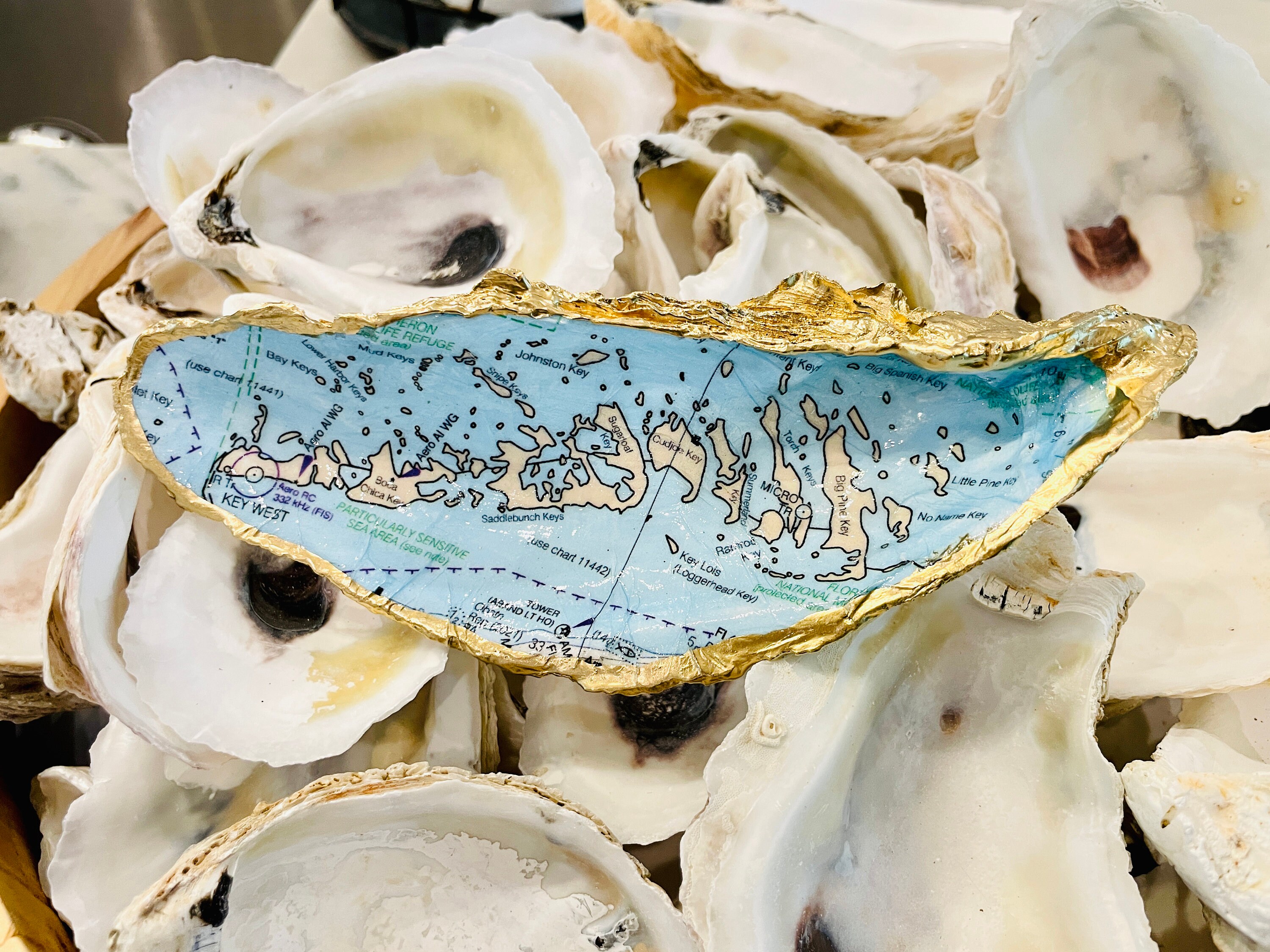 Florida Keys Key West Map Oyster Shell Ring Dish Keepsake - Etsy