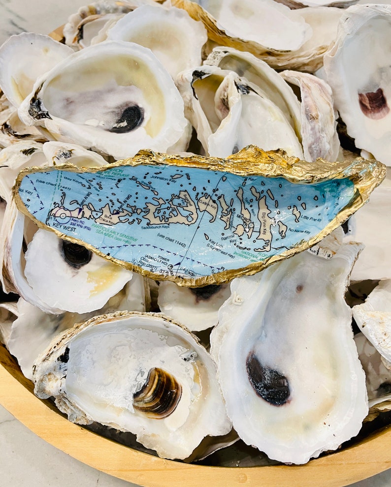 Florida Keys Key West Map Oyster Shell Ring Dish Keepsake - Etsy