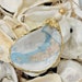Nantucket Massachusetts Map Oyster Shell Ornament Decoupage - Etsy