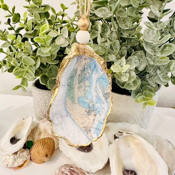 Sanibel Island Shell Art - Etsy