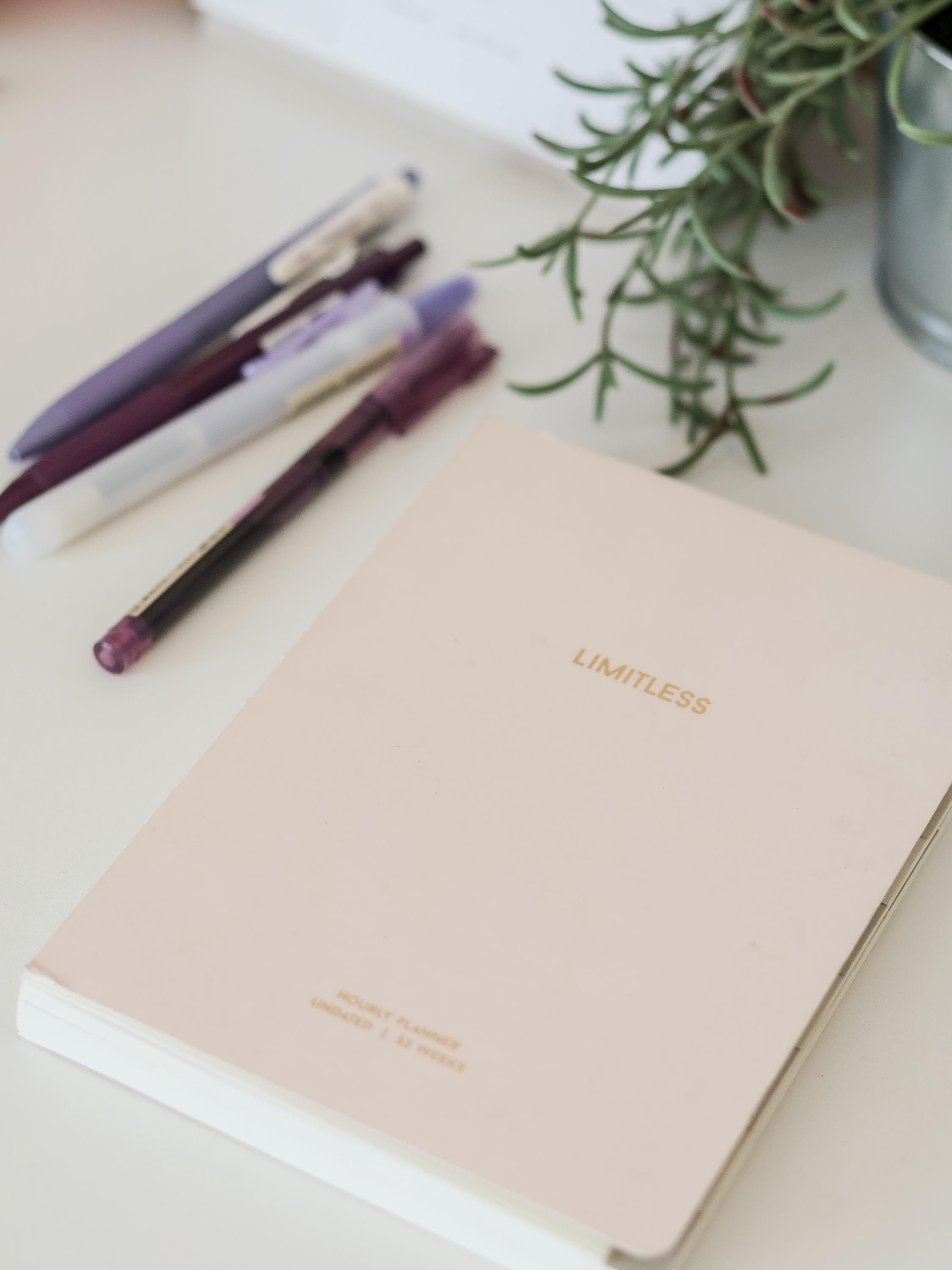 Limitless Planner - Hourly (undated 53 Weeks) - Interchangeable Cover ...