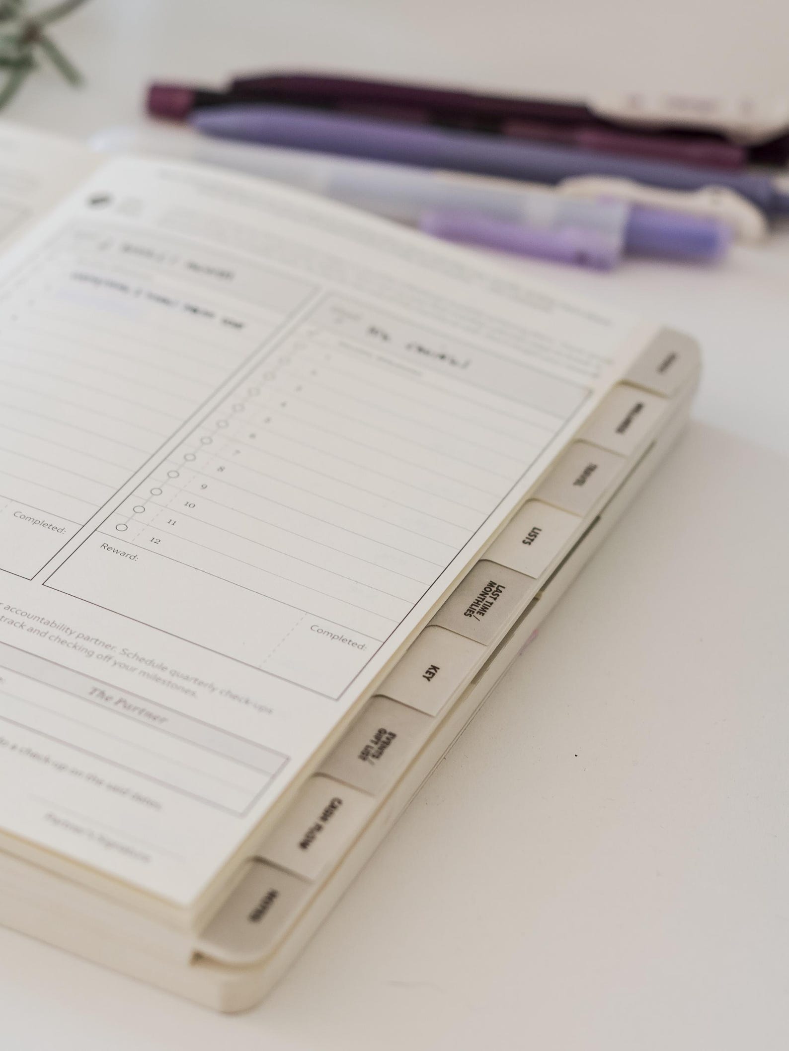 Limitless Planner Hourly undated 53 Weeks Interchangeable Cover ...