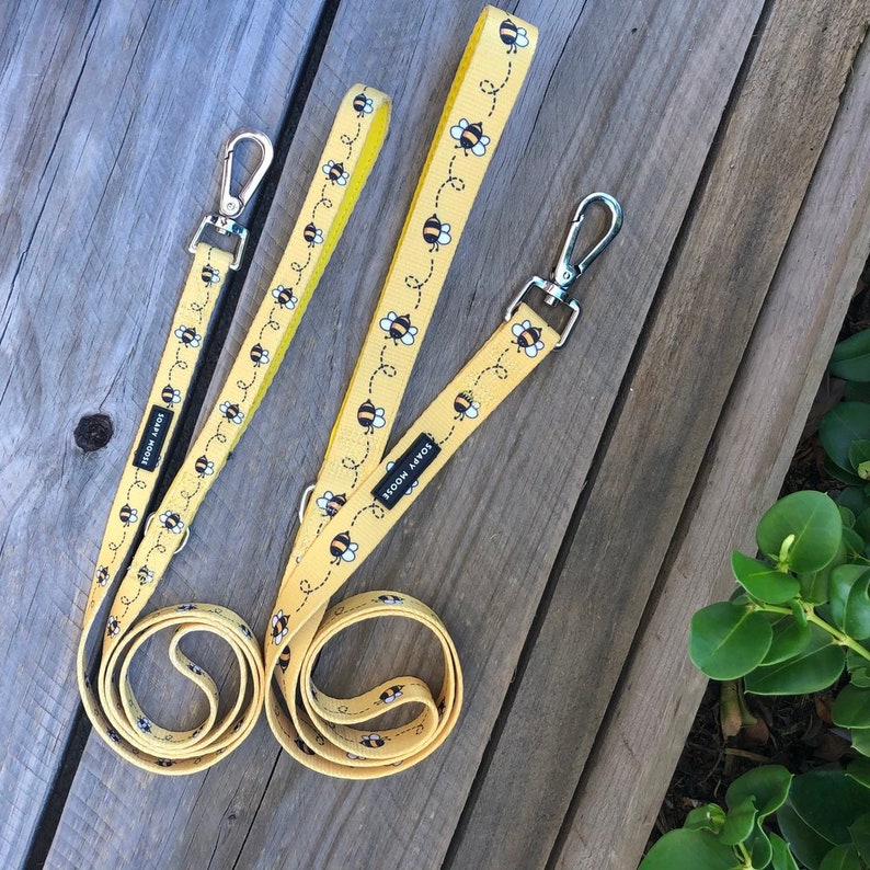 Bee Dog Leash, Bee, Bumble Bee, Yellow Leash - Etsy