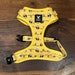 Bee Dog Harness, Bees, Dog Harness, Cat Harness, Yellow Dog Harness ...