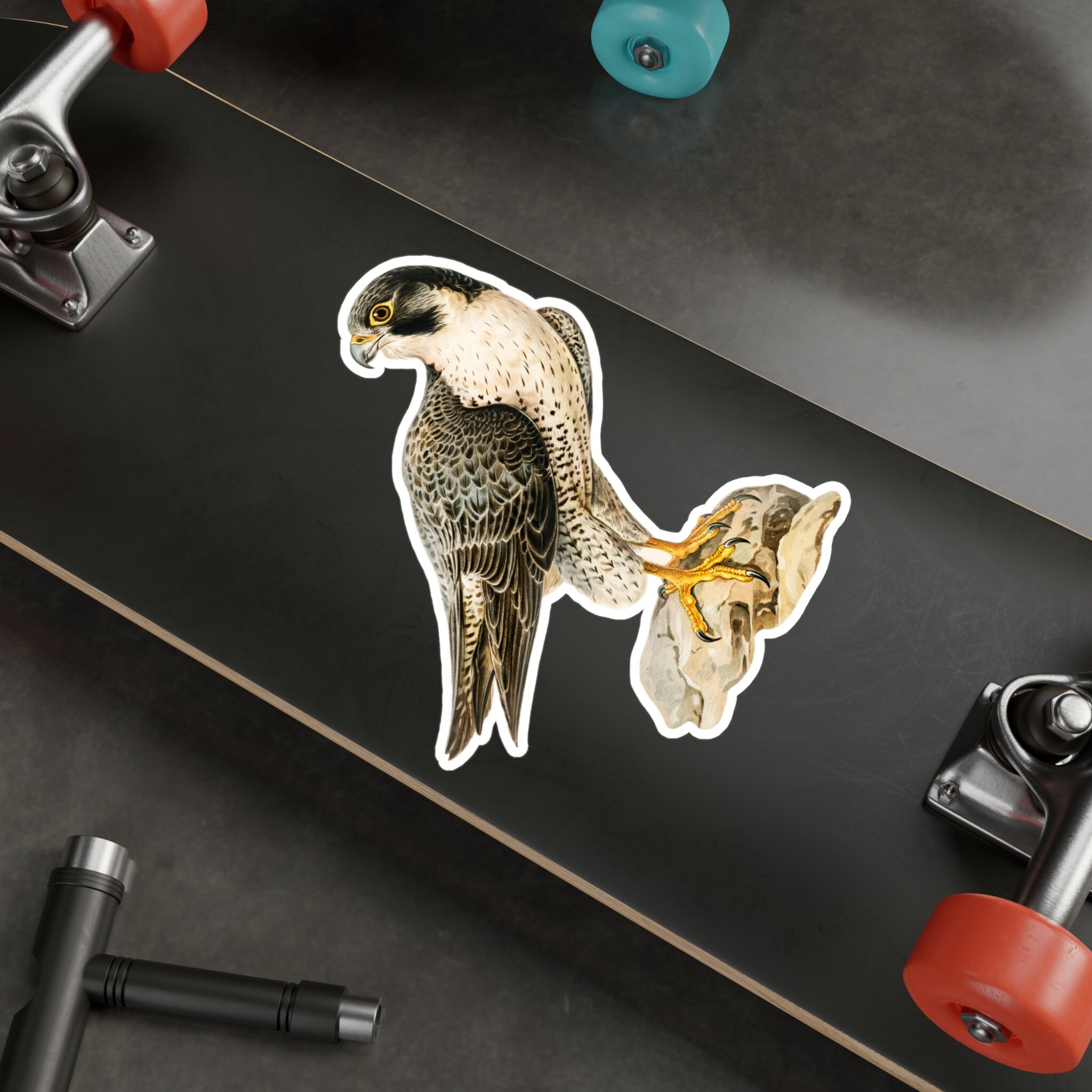 Peregrine Falcon Vinyl Decal Sticker - Etsy