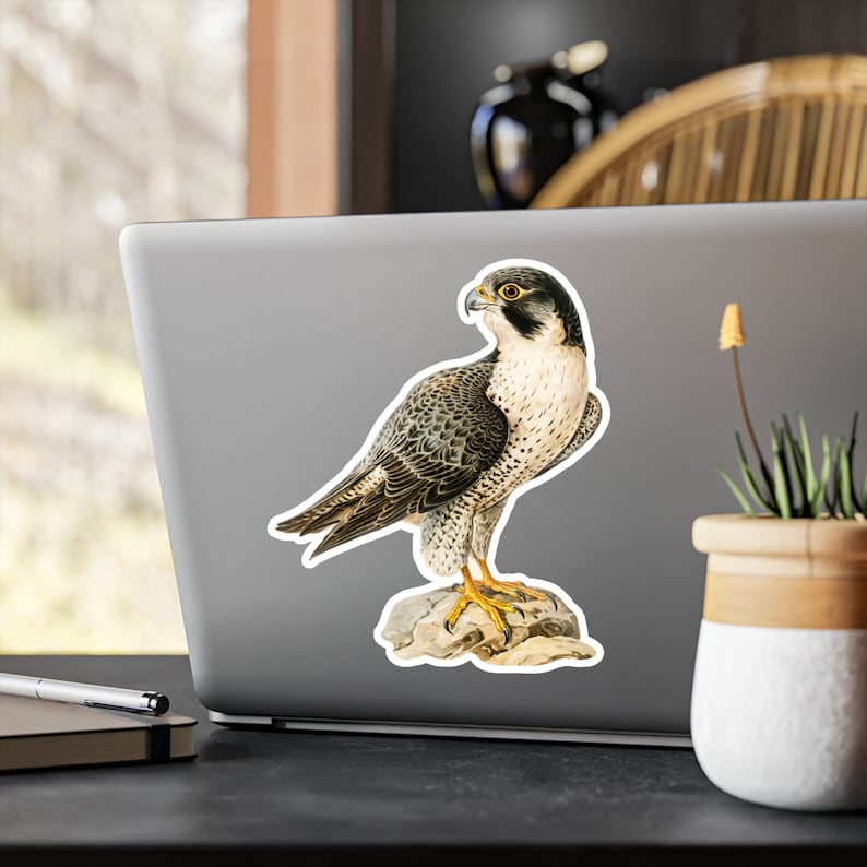 Peregrine Falcon Vinyl Decal Sticker - Etsy