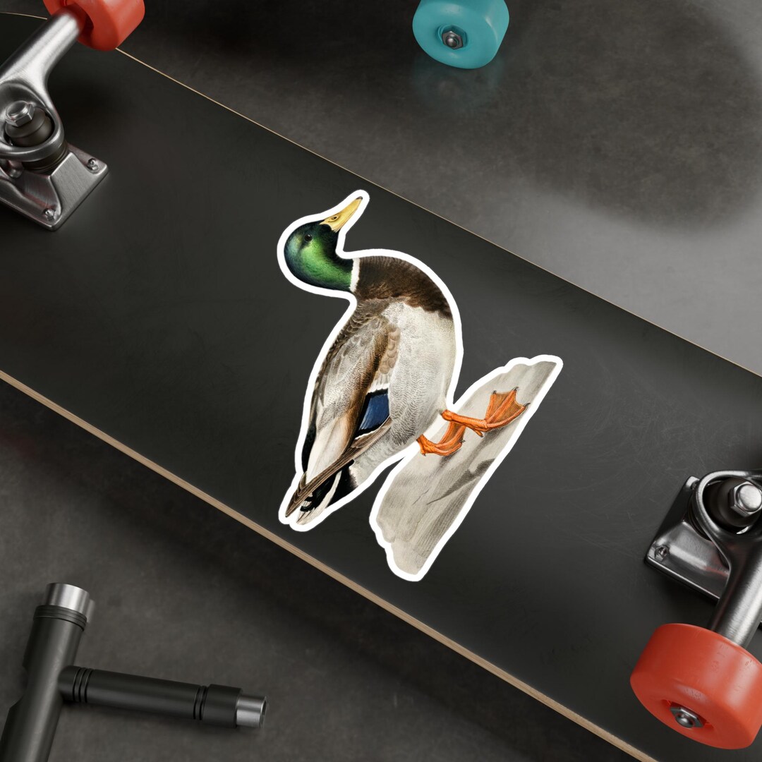 Mallard Duck Vinyl Decal Sticker - Etsy