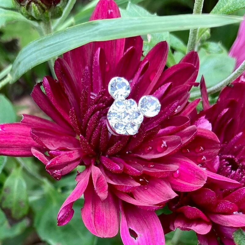 Mickey Rhinestones - Etsy
