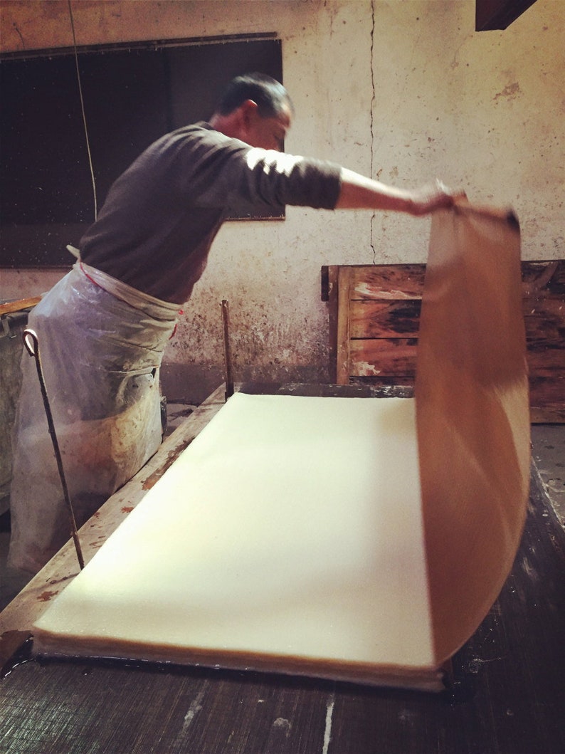 INKSTON Extra Thin Gongbi Plus Sized Xuan Paper Cicada Wing - Etsy