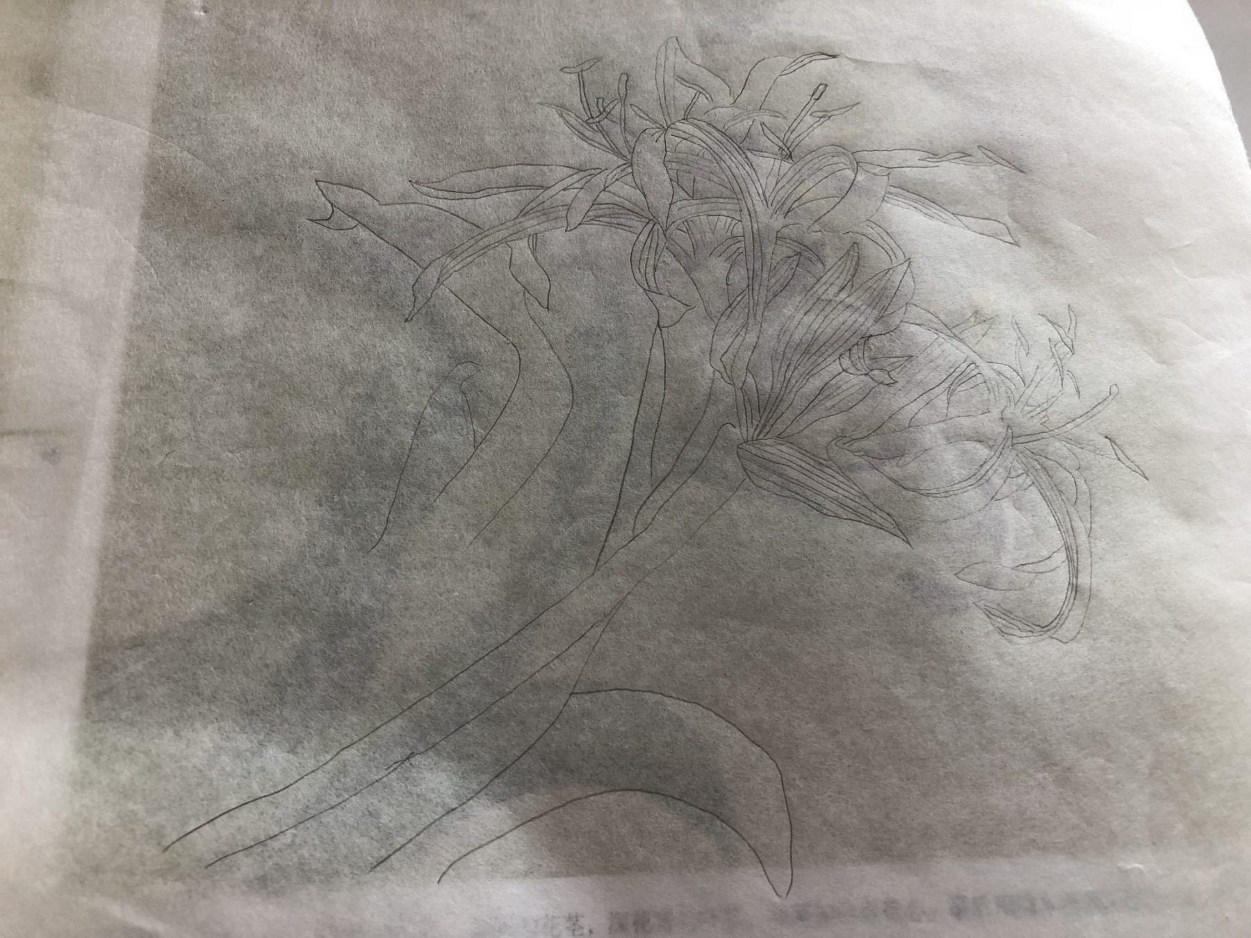 INKSTON Wenzhou Pi Paper 皮纸 - Etsy