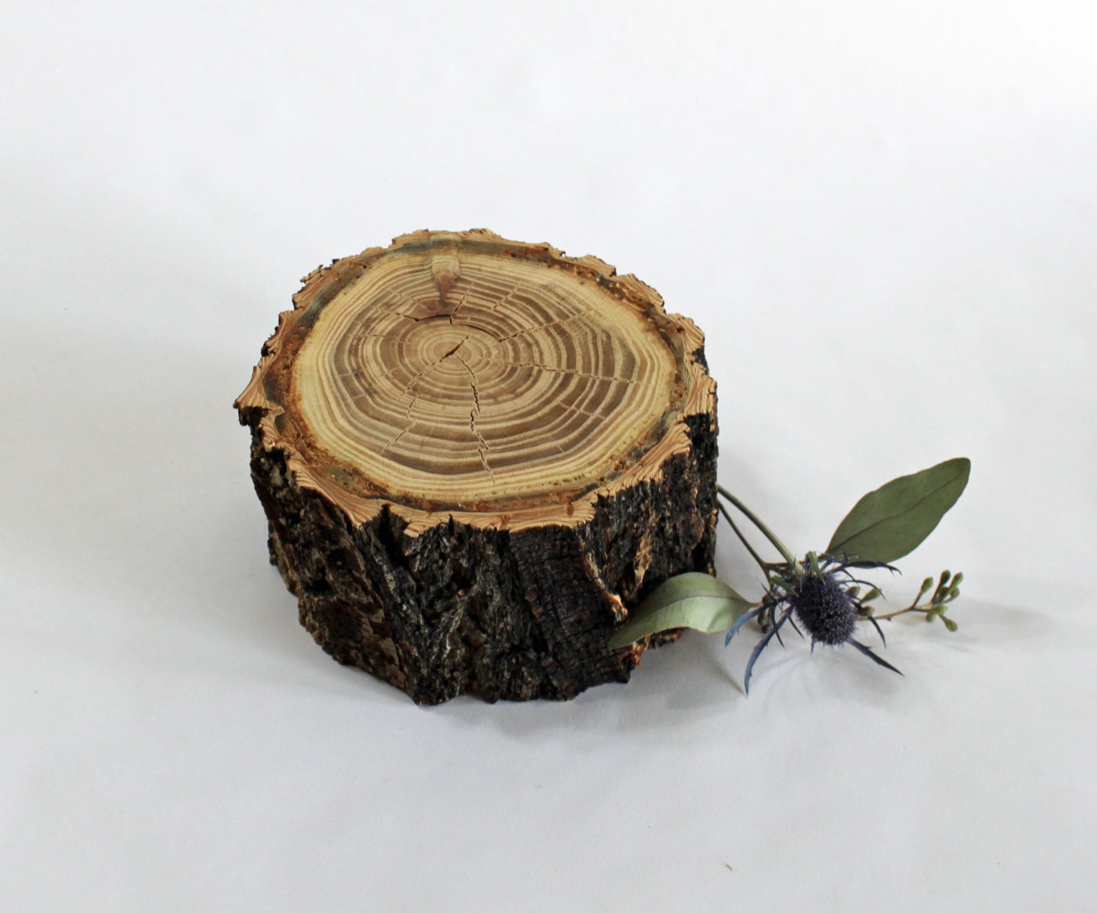 Elm Wood Riser, Elm Slice, Thick Elm Slice, Wedding Centerpieces, Wood ...