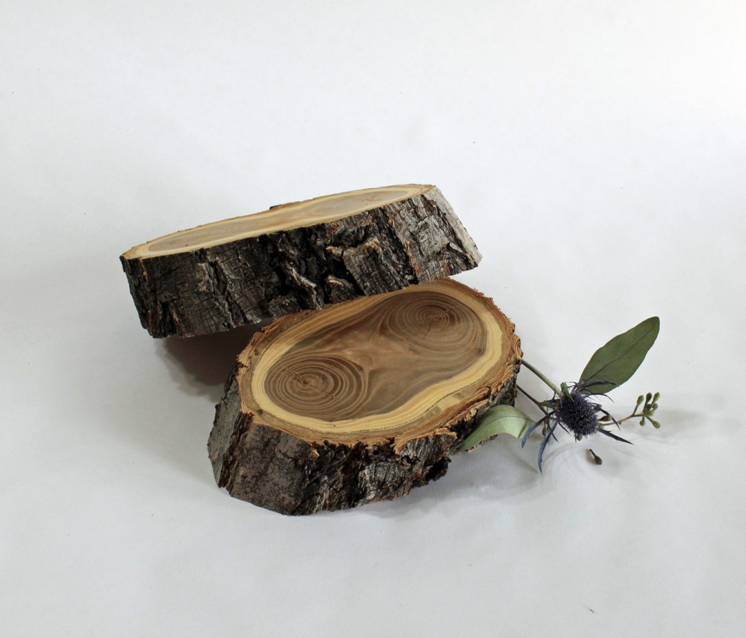 4-5 Inch Elm Wood Slices, Elm Slice, Thick Elm Slice, Wedding ...