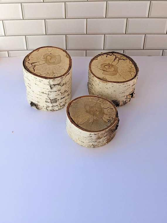 Birch Slices Thick Birch Slice Wedding Centerpieces Wood - Etsy