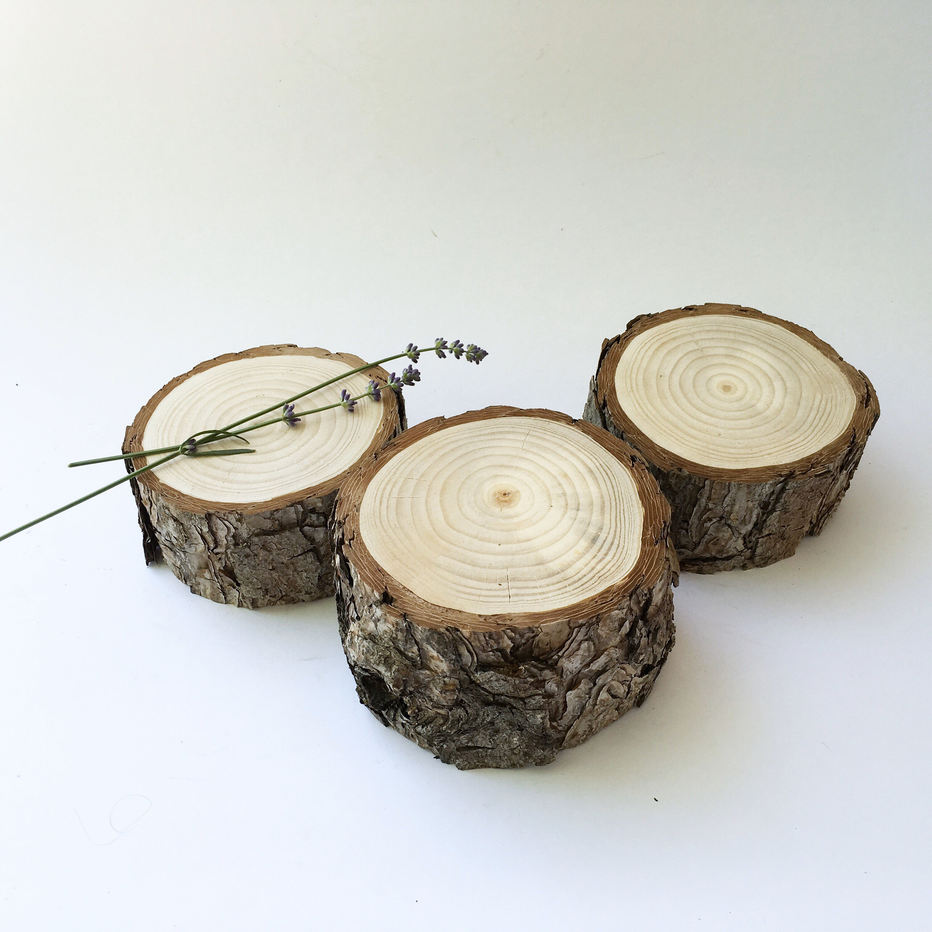 Wood Risers, Wood Slices, Rustic Wood Risers - Etsy