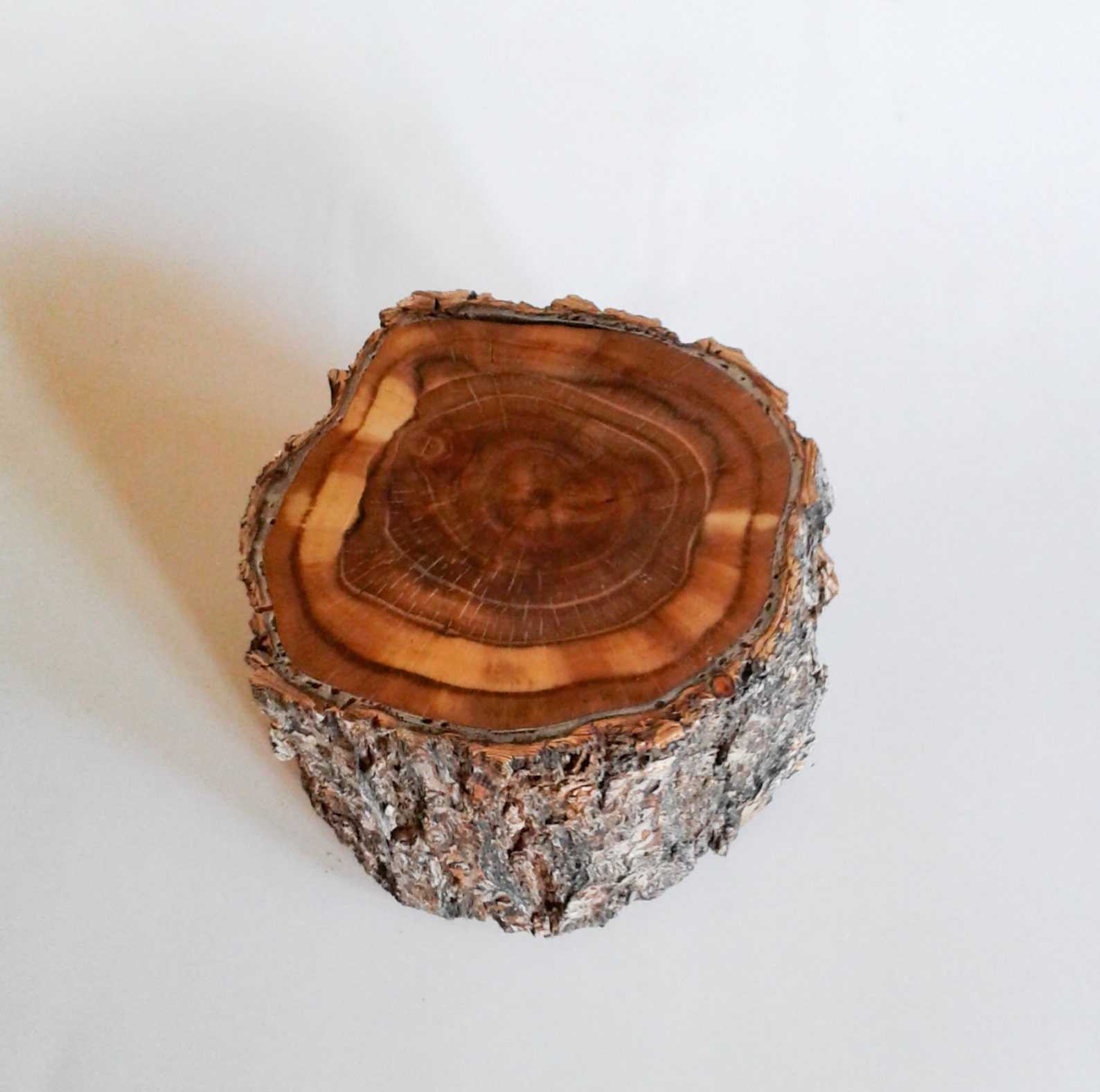 Elm Wood Riser, Elm Slice, Thick Elm Slice, Wedding Centerpieces, Wood ...