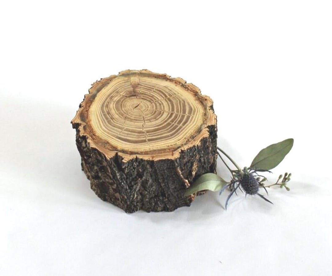6-7" Wood Slices, Elm Slice, Thick Wood Slice, Wedding Centerpieces ...