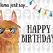 Llama Say Happy Birthday Animated GIF Ecard - Etsy