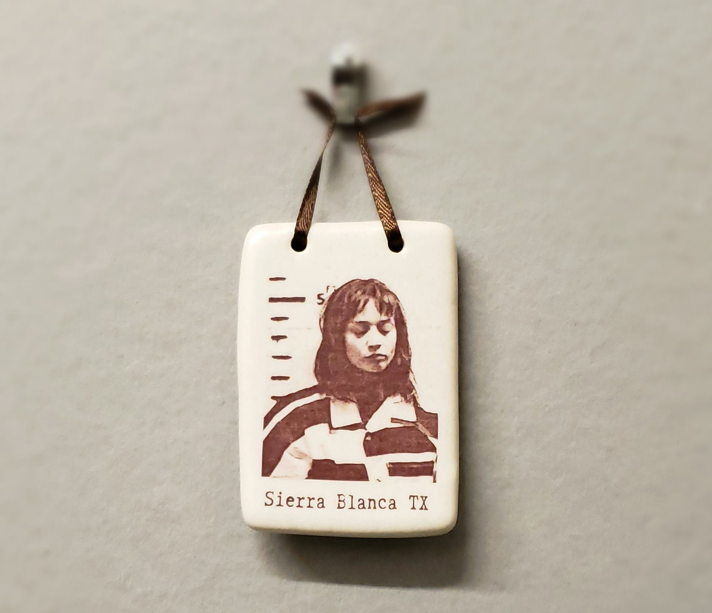 Fiona Apple Mugshot Ornament - Etsy