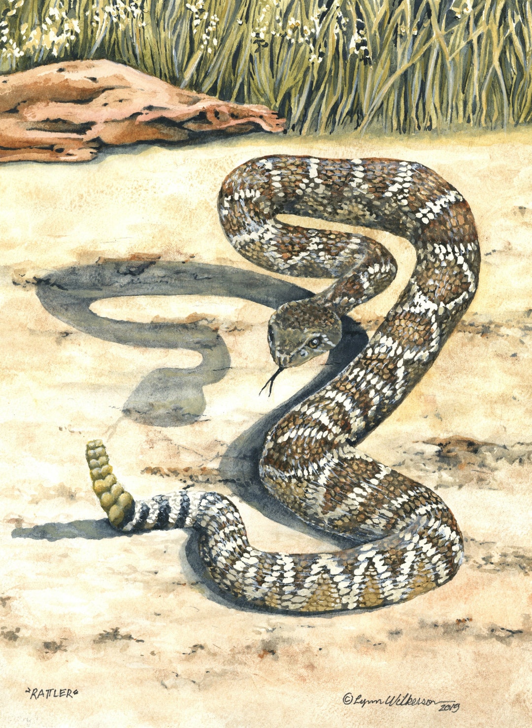 Rattler Watercolor Print of Lynn Wilkerson - Etsy