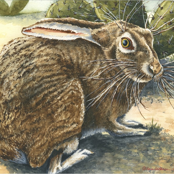 Jack Rabbit - Etsy
