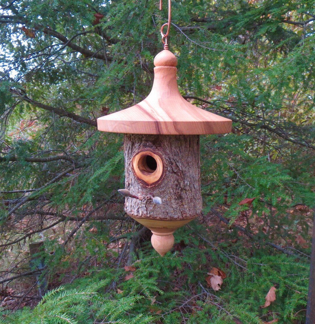 Birdhouse, Outdoor Rustic Elm Bark Birdhouse, Gift for Gardener - Etsy
