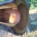 Birdfeeder, Largest Sized Rustic Log Hanging Bird Feeder, the Original ...
