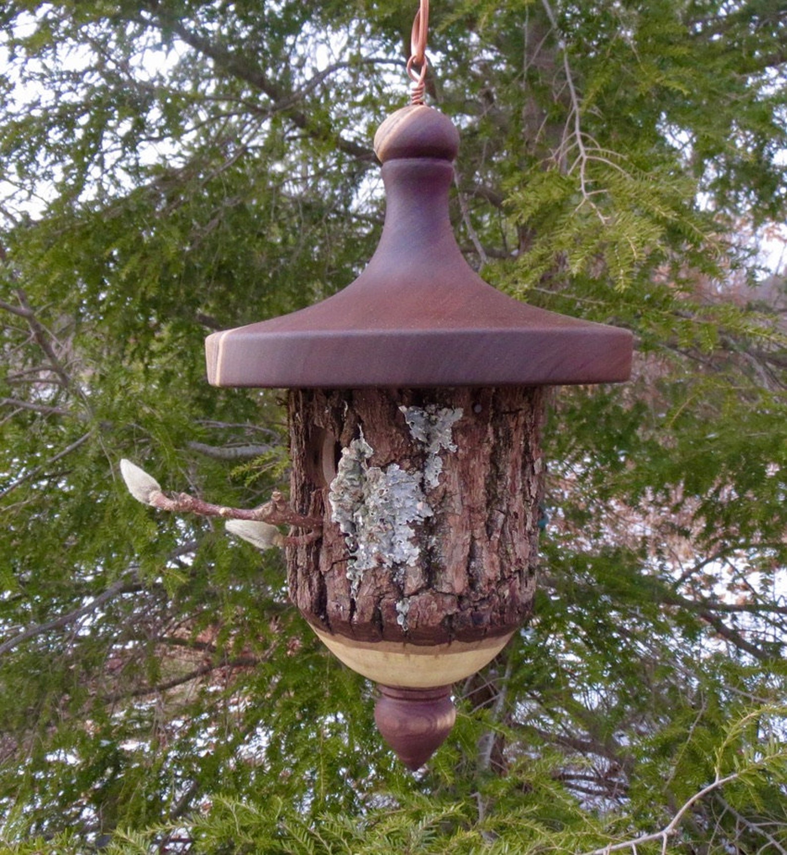 Birdhouse Rustic Black Walnut Bark Birdhouse Outdoor | Etsy