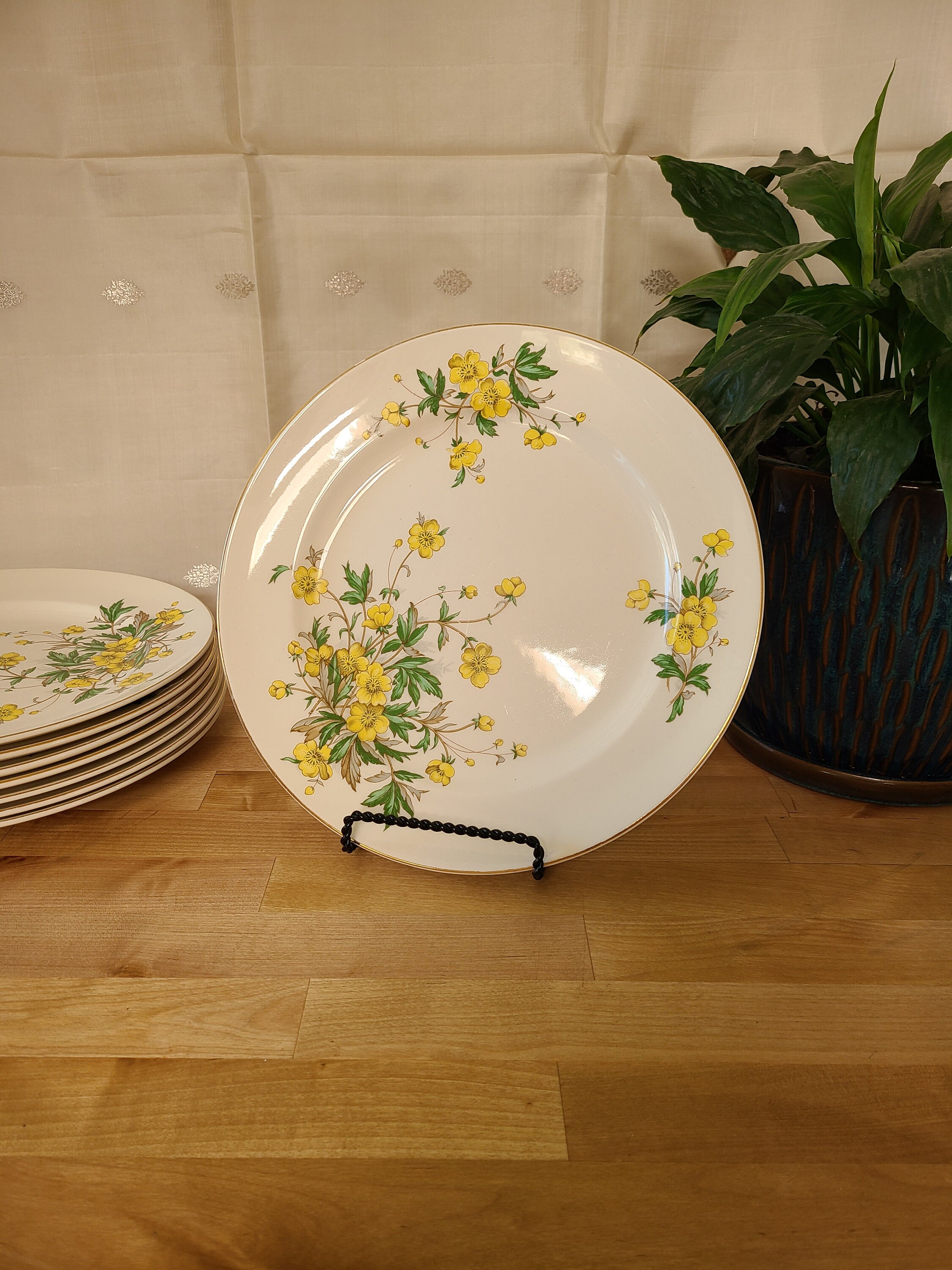 Vintage Edwin Knowles China Dinner Plates Pattern Buttercup | Etsy