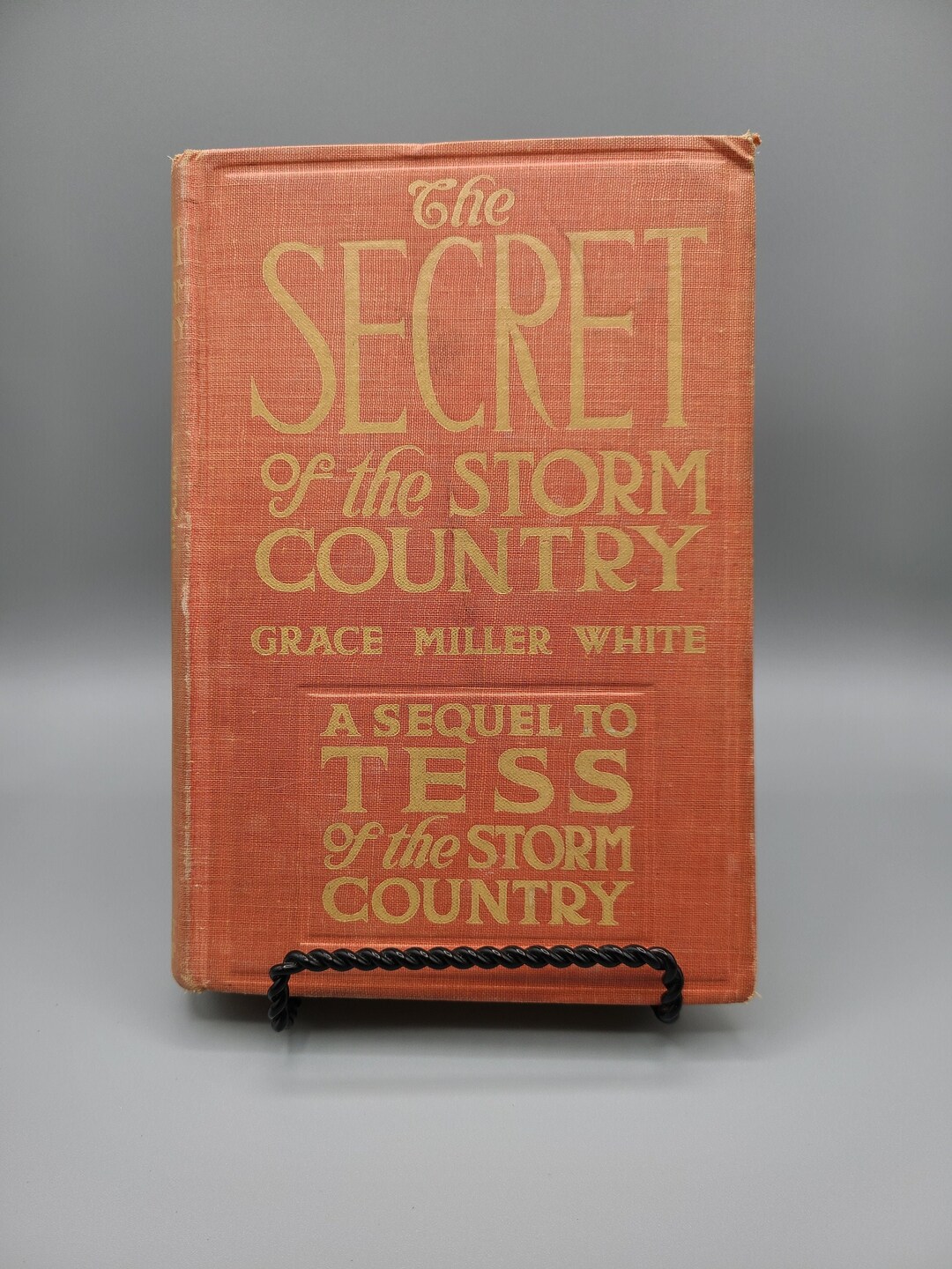1917 Illustrated Novel, the Secret of the Storm Country, Grace Miller ...