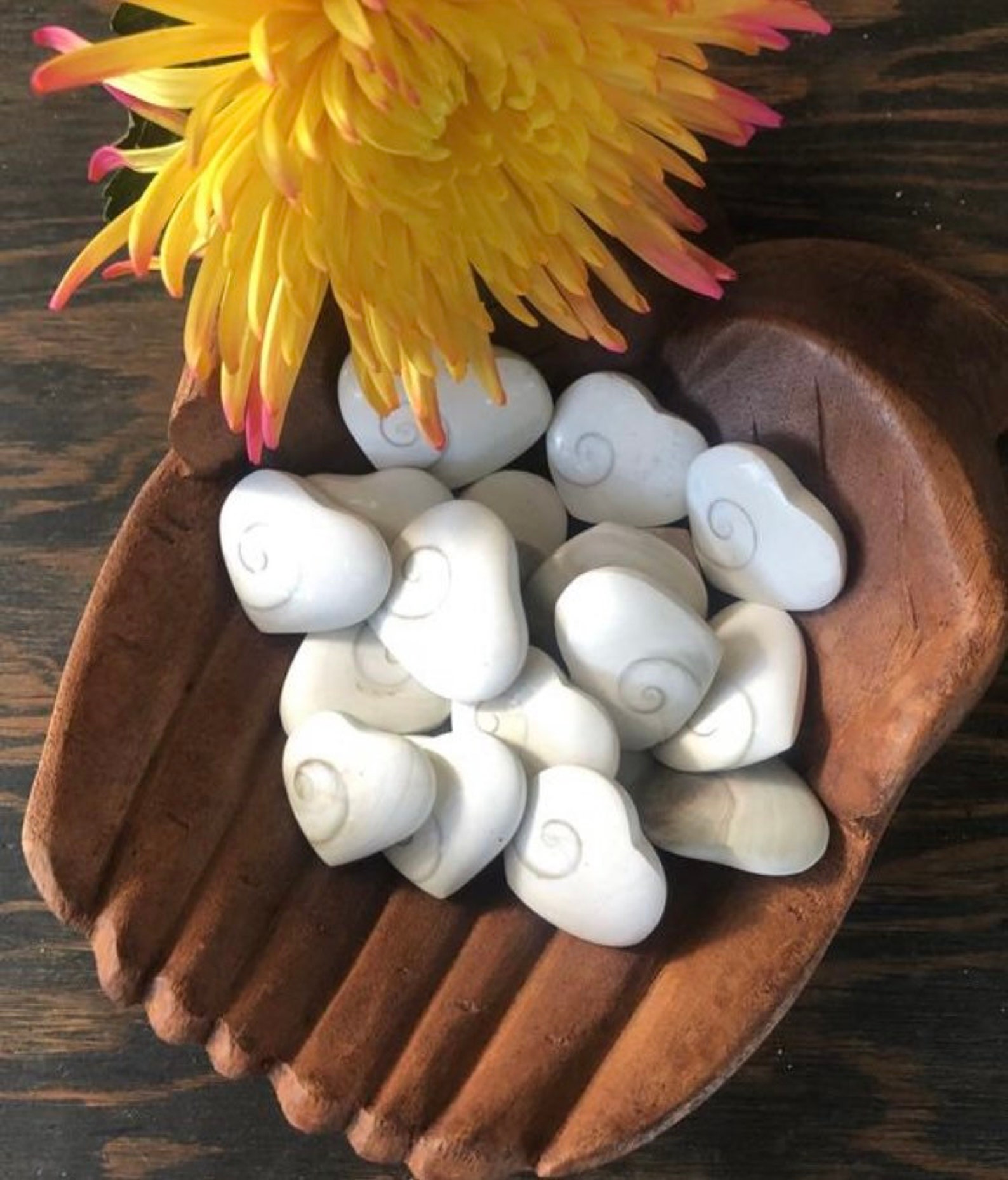 Shiva Eye Shiva Shell Shiva Shell Heart Qty. 1 | Etsy