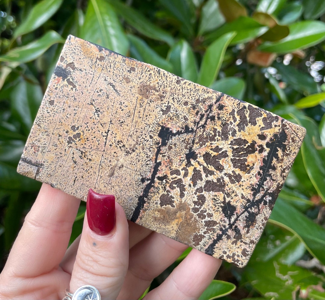 Picture Jasper, Picture Jasper Slab - Etsy